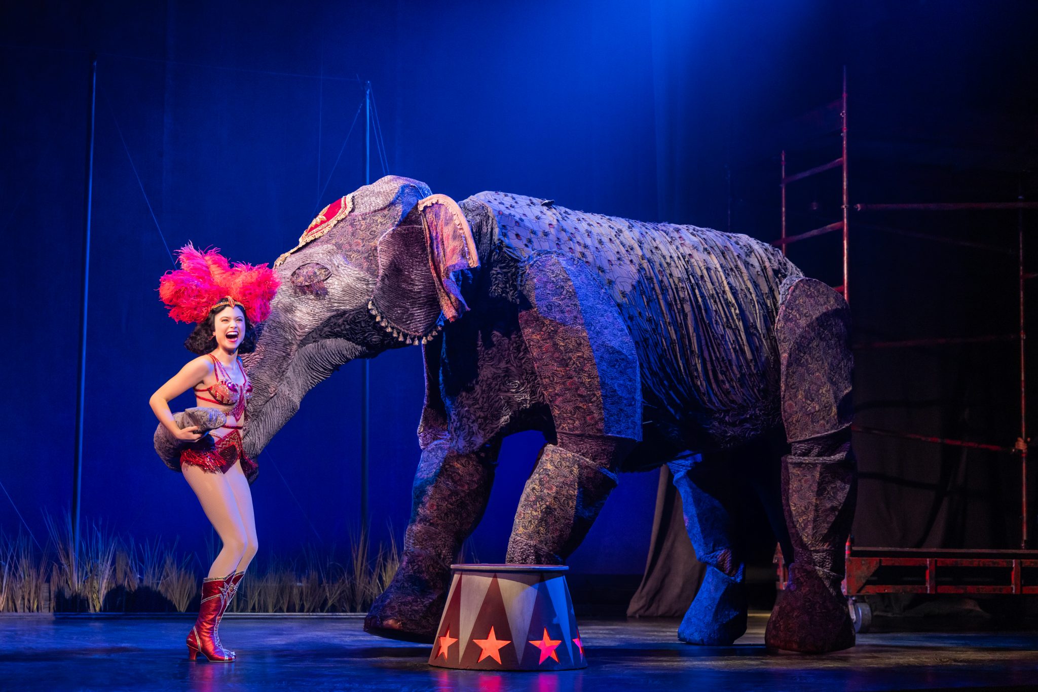 'Water For Elephants' A Sentimental Circus Delight at National Theatre ...